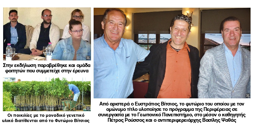 Θησαυρός οι μοναδικές ποικιλίες εσπεριδοειδών - Στην πρωτοπορία τα ...